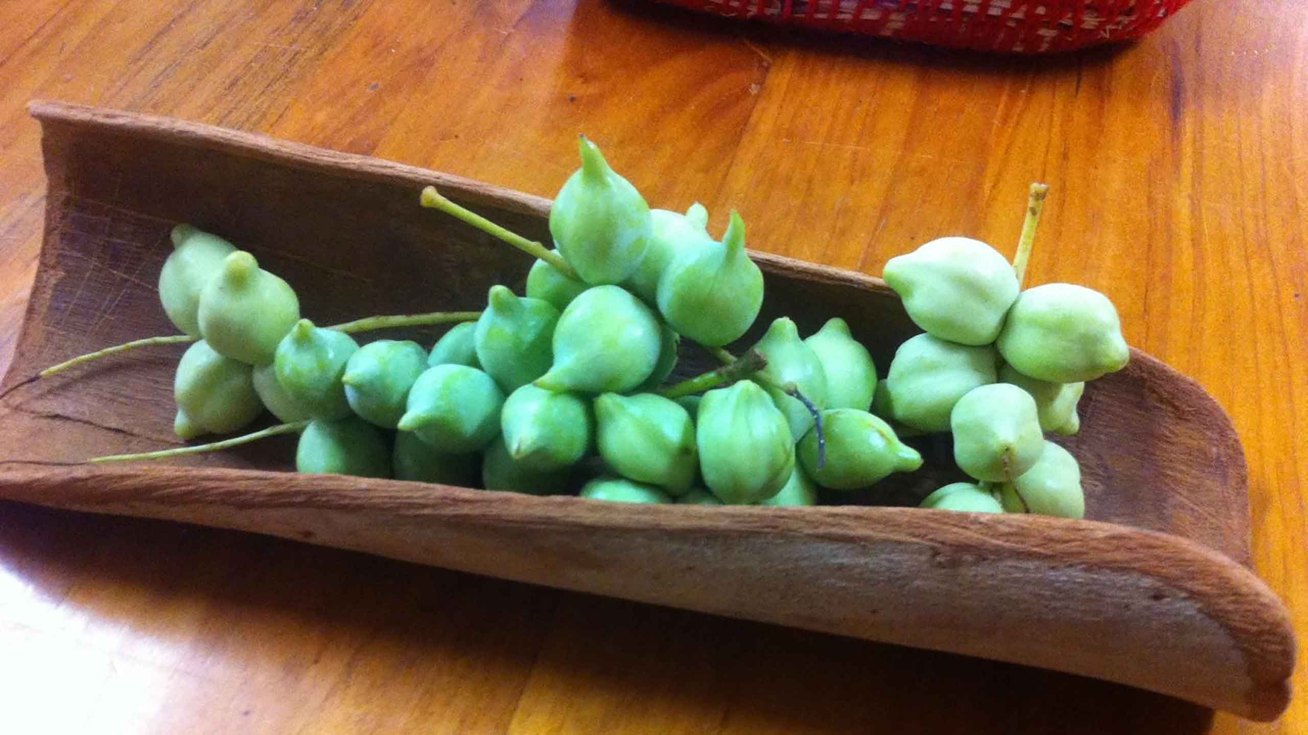 Mayi harvests (Milari Aboriginal Corporation) Alliance Member | Naakpa