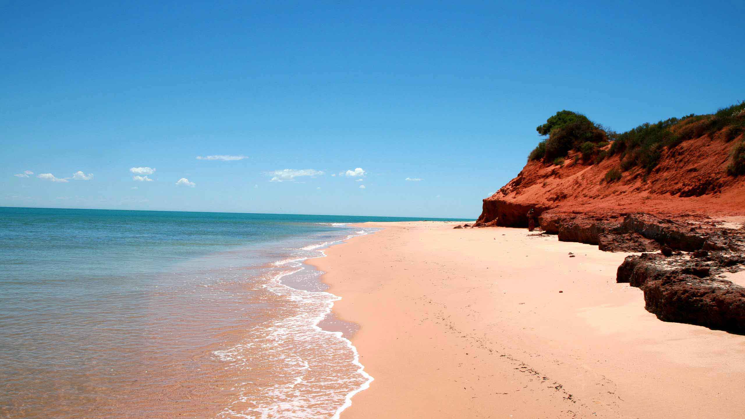 Mercedes Cove Aboriginal Corporation Alliance Member | Naakpa